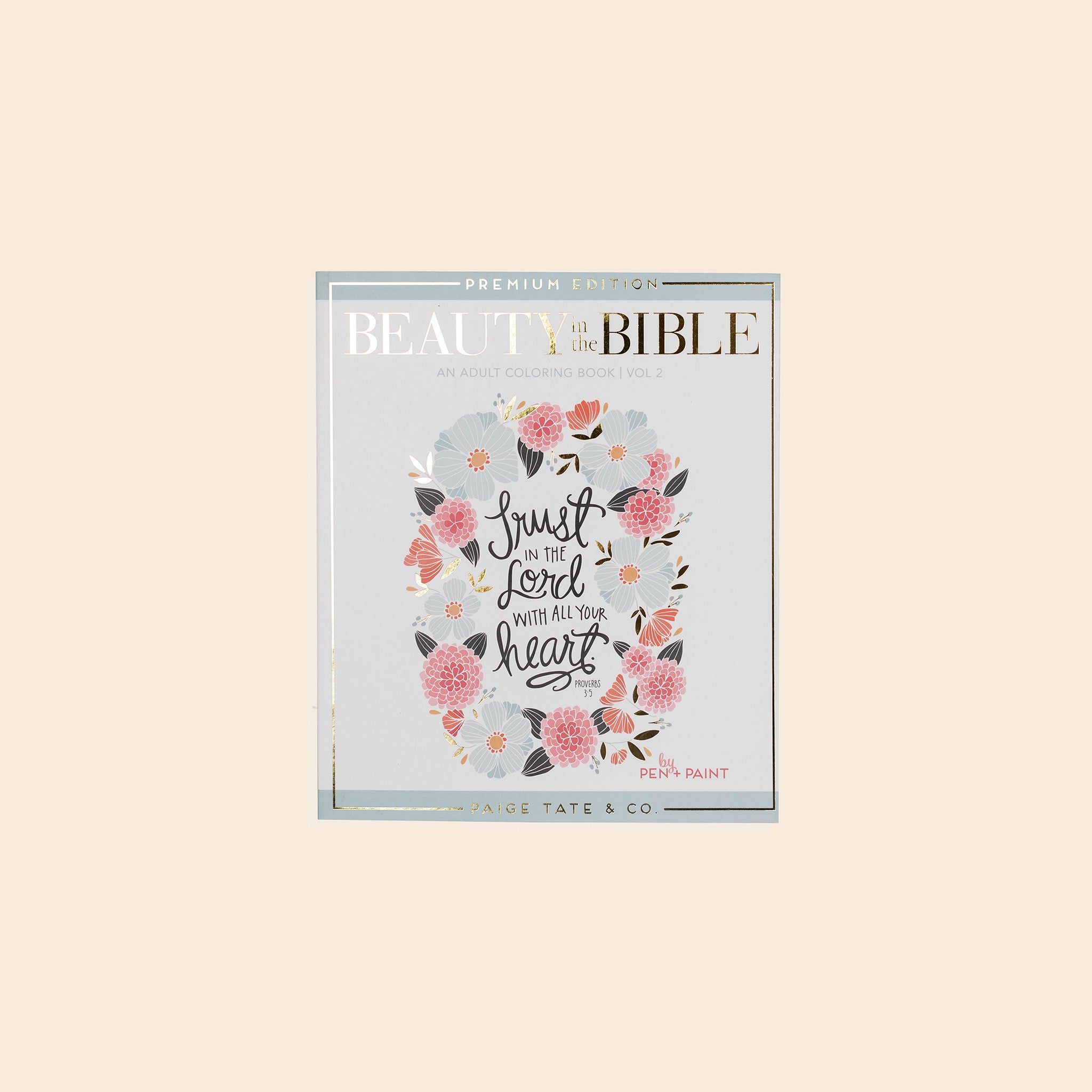 beauty in the bible coloring book