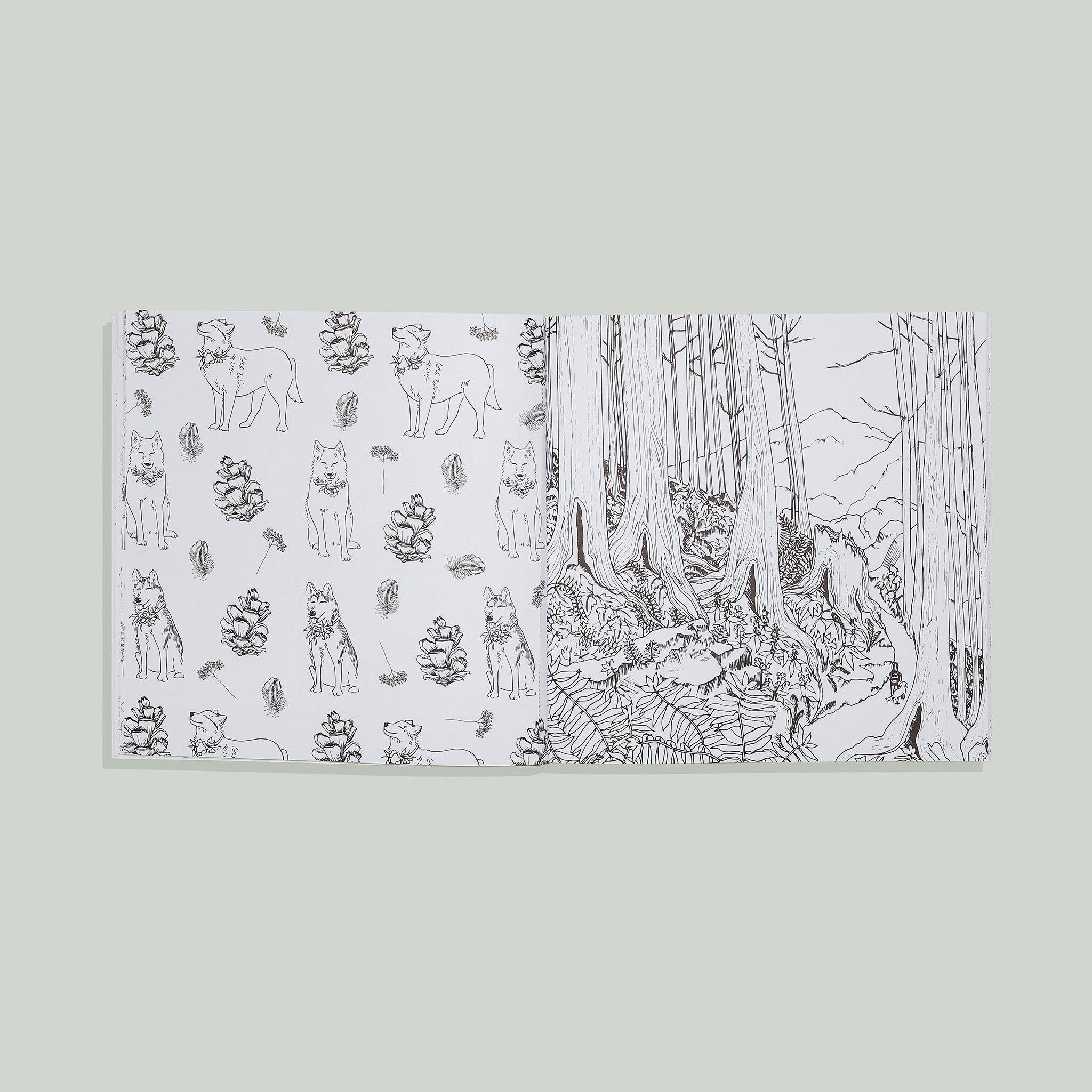 plant coloring book pages