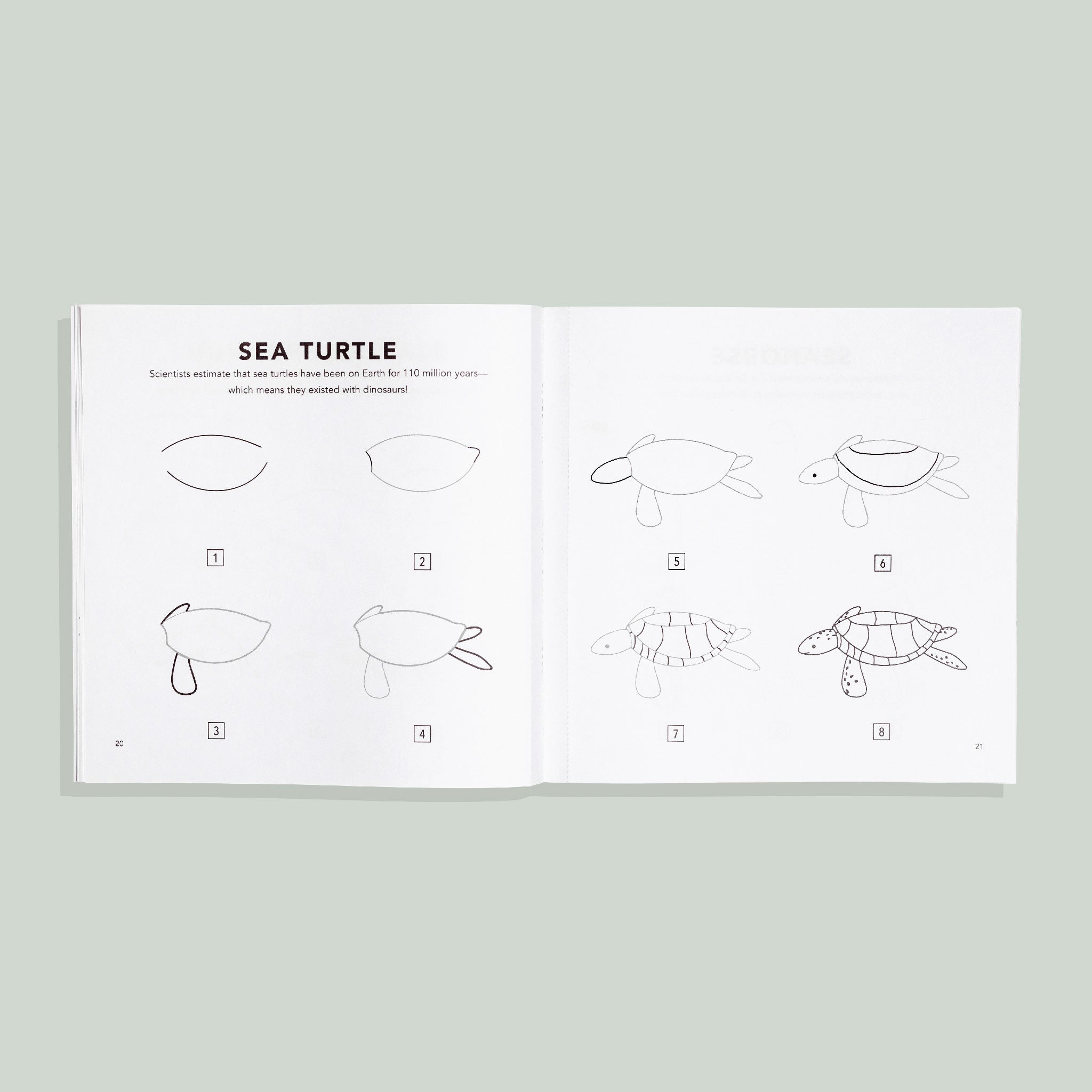 Under the Sea: How to Draw Books for Kids – Paige Tate and Co.