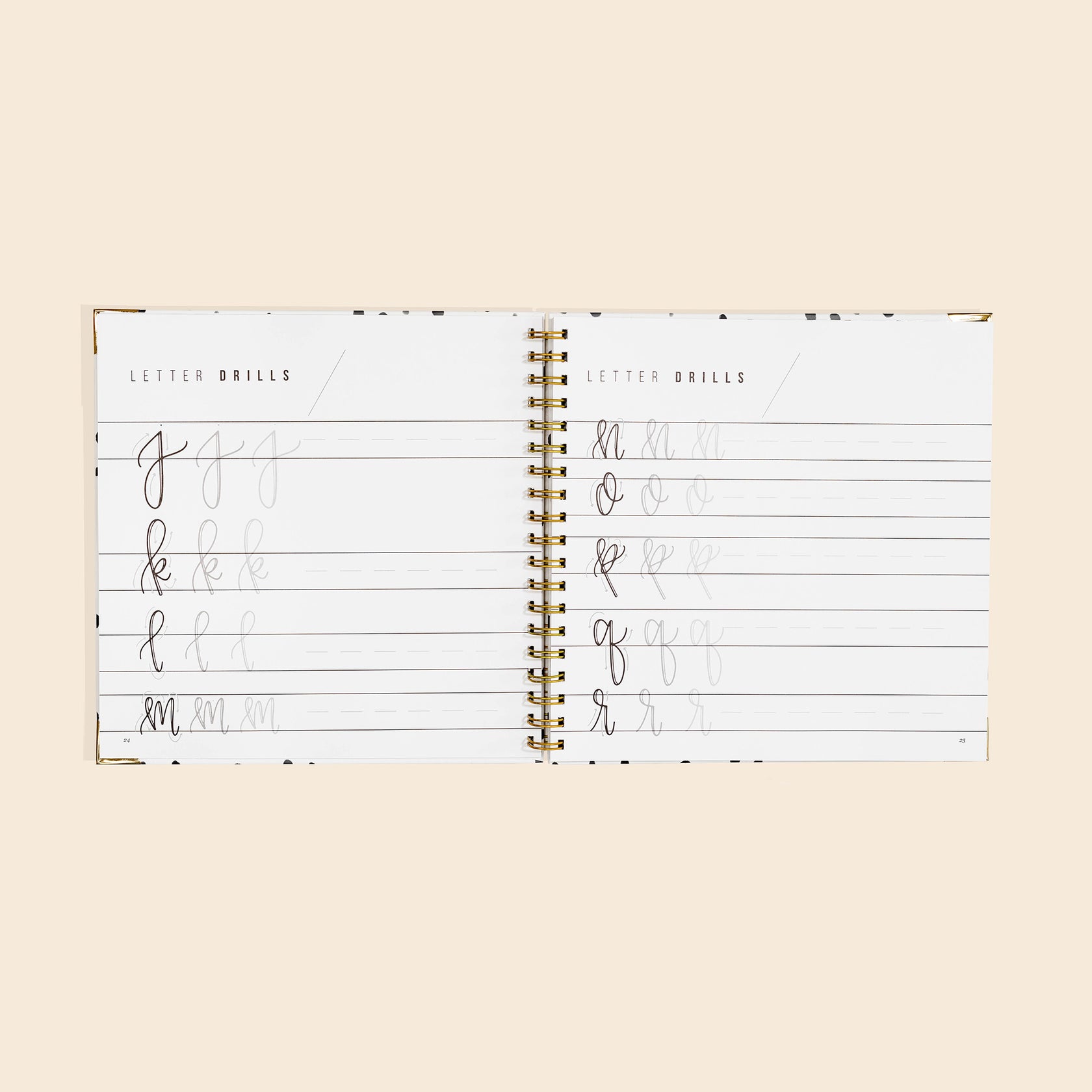 Hand Lettering 101: A Calligraphy Workbook – Paige Tate and Co.