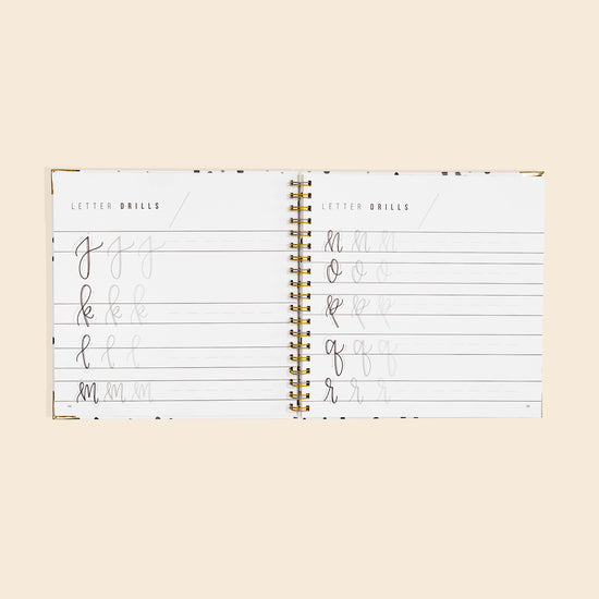 Hand Lettering 101: A Calligraphy Workbook – Paige Tate and Co.